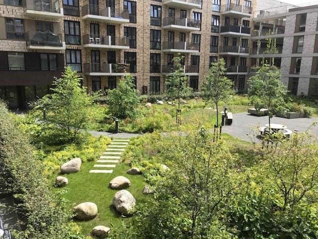 Openbare ruimte | binnentuin Amsterdam - Frank Blom Hoveniers